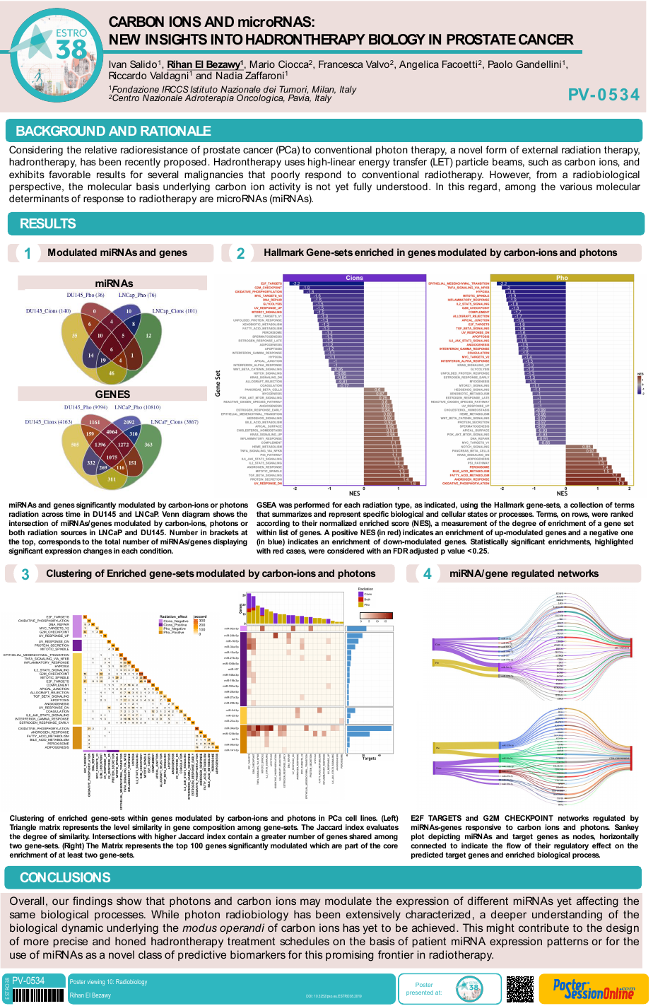 PosterSessionOnline