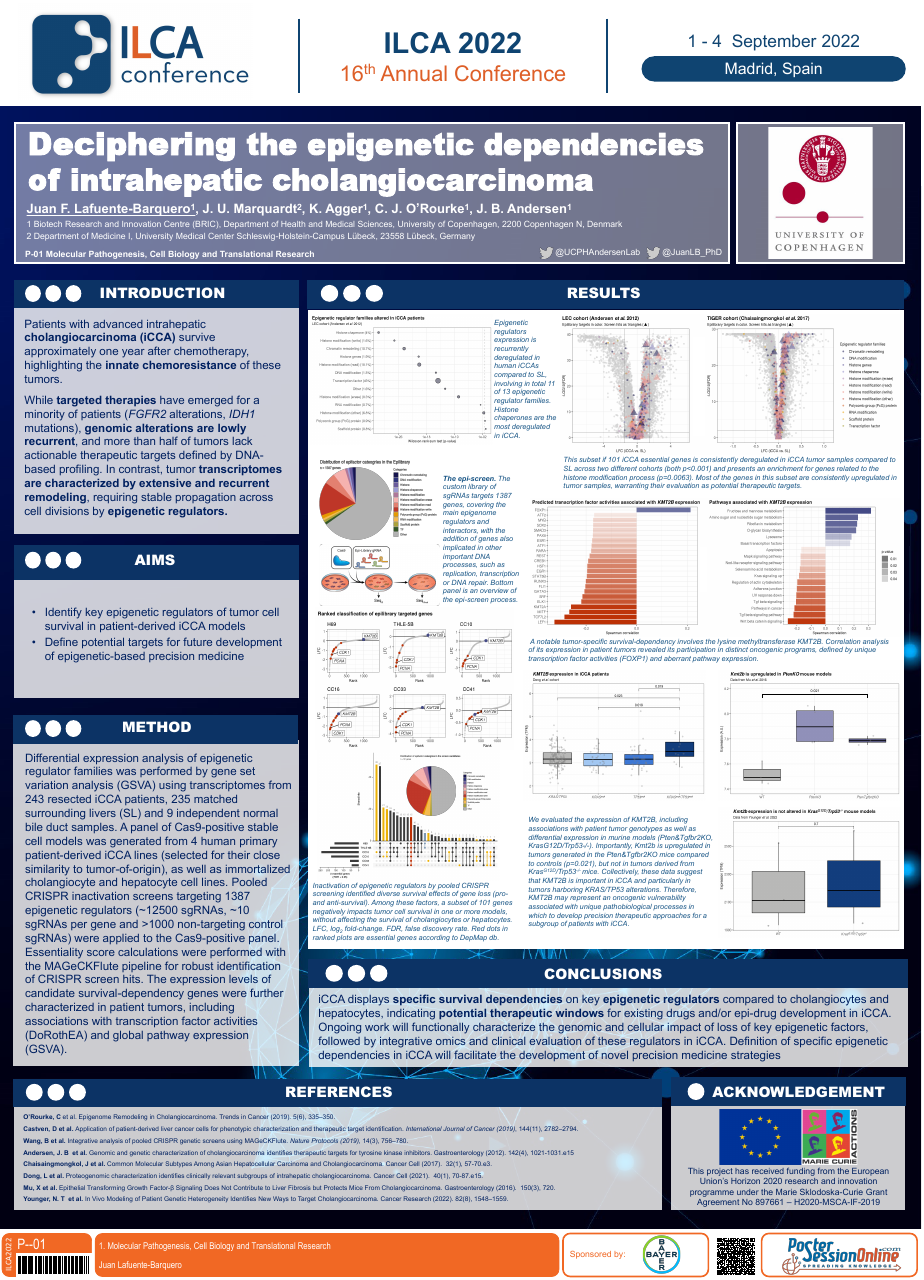 PosterSessionOnline
