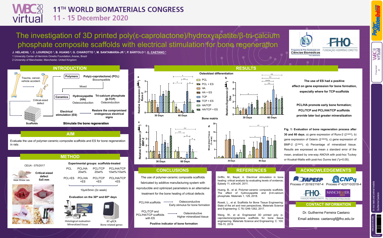 PosterSessionOnline
